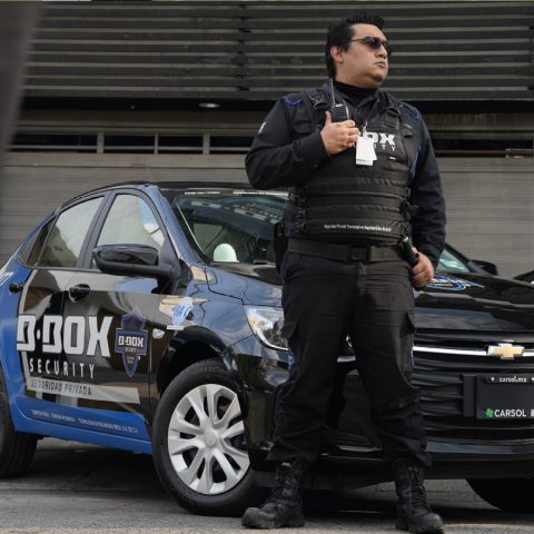 BBOX Security | Custodias